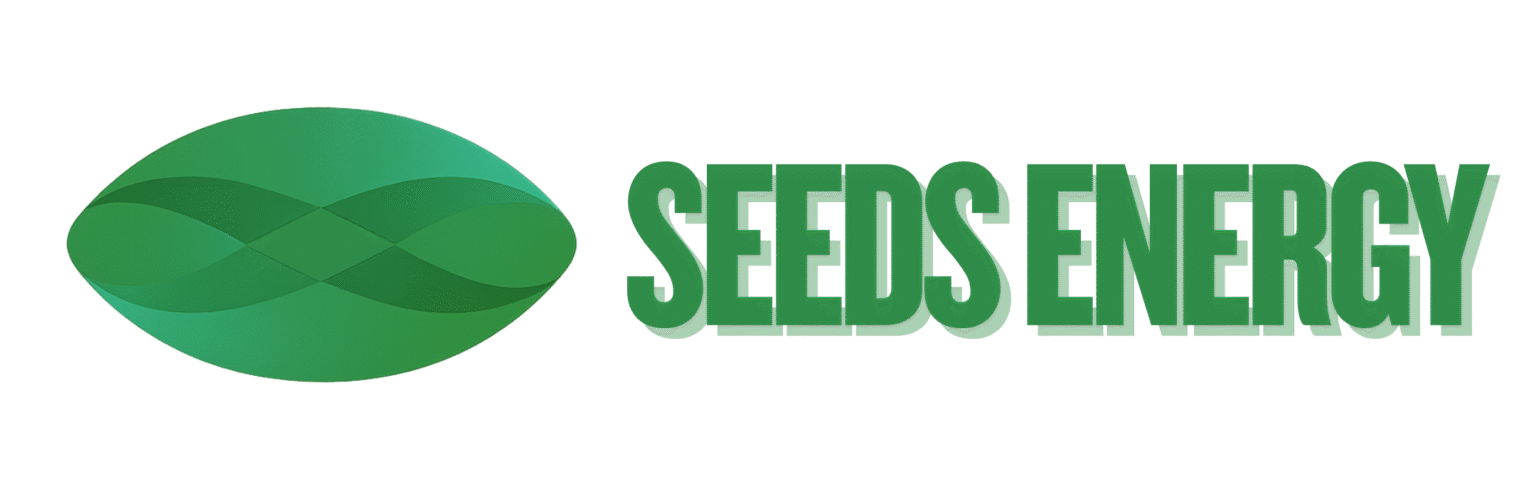 seeds-energy.com